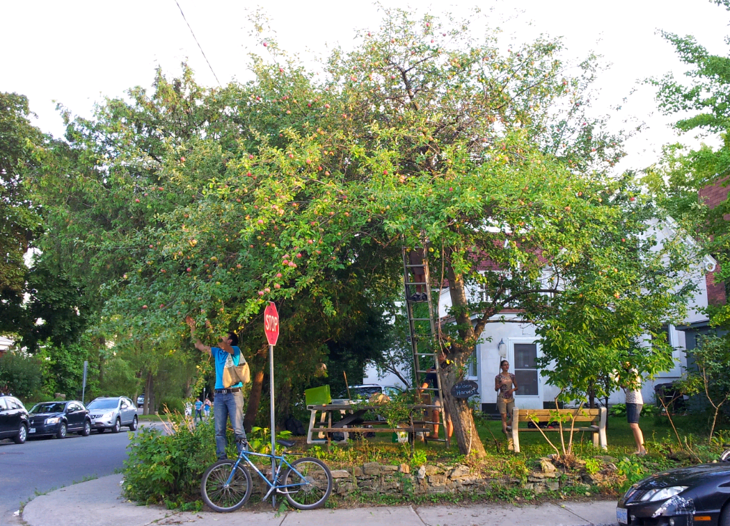 Hidden Harvest Ottawa | EnviroCentre